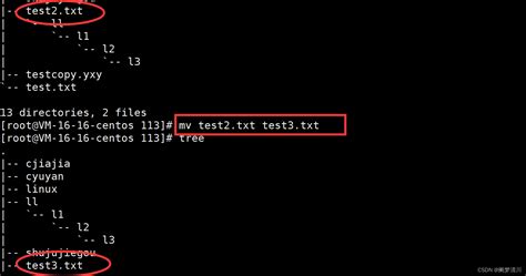 linux指令（3） echo执行将文件写空之后 又恢复了原样 csdn博客