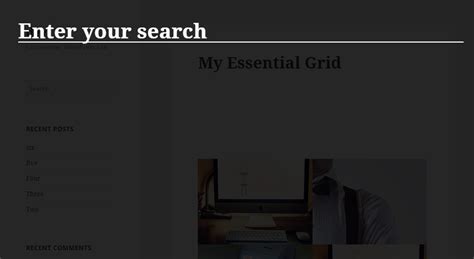 Custom Search Modal Essential Grid WordPress Gallery Plugin