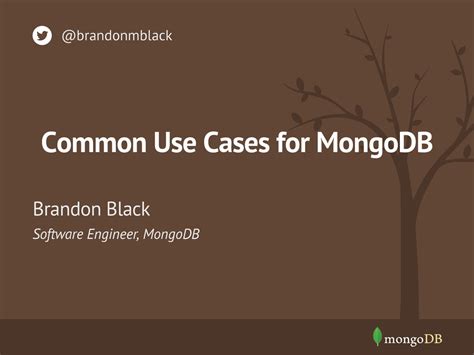 common use cases for mongodb speaker deck