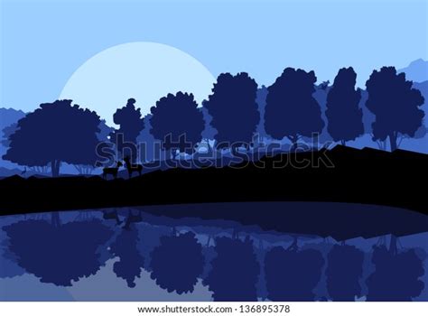 Forest Landscape Trees Reflection Water Vector Stock Vector Royalty Free 136895378 Shutterstock