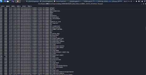 ctf 目录遍历 目录遍历ctf csdn博客