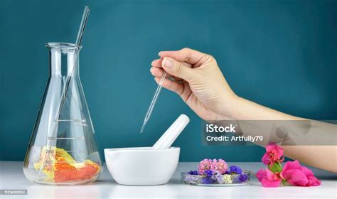 자연 초본 유기 약물 연구 및 실험실 유리 그릇 박격포에 화학자 떨어지고 식물 추출 물질 과학 실험실에서 자연 의학 발견 하는 과학자 Stem 주제에 대한 스톡 사진 및