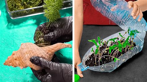 독창적인 정원 가꾸기 비법 Youtube