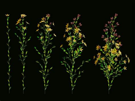 Escience Lectures Notes Surface Modeling