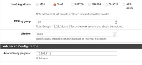 Ipsec Phase 2 Duplicate Causes Vpn Tunnel To Get Stuck Netgate Forum