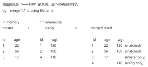 Stata基础操作及数据清洗基本命令 哔哩哔哩