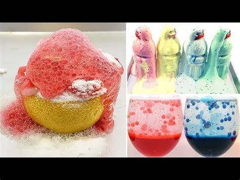 Powerful Hypothesis Science Project Ideas And Guide