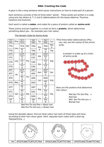 Aqa Gcse Biology Lesson 2 Structure Of Dna Bio Only Inheritance Variation And Evolution