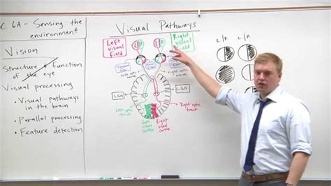 Parallel Processing Psychology