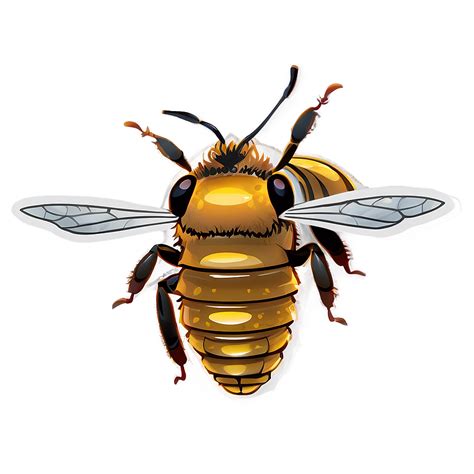 Download Honey Bee Hive Png 97