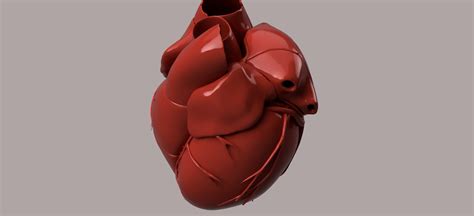 💜 Human Heart Segmented 3d Model・ 3d File For 3d Printing・cults