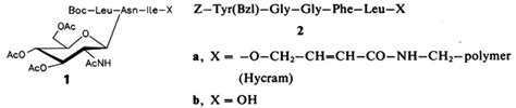 Solid Phase Synthesis Of Peptides And Glycopeptides On Polymeric Supports With Allylic Anchor
