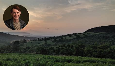 Fallen Trees And Coding Dreams Or Near Real Time Deforestation Monitoring