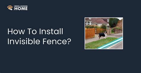 How To Install An Invisible Fence Simple Steps To Do