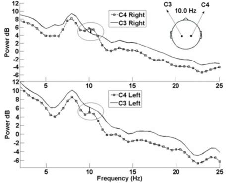 Participants Motor Cortex EEG Signals Responsible To Control The Download Scientific Diagram