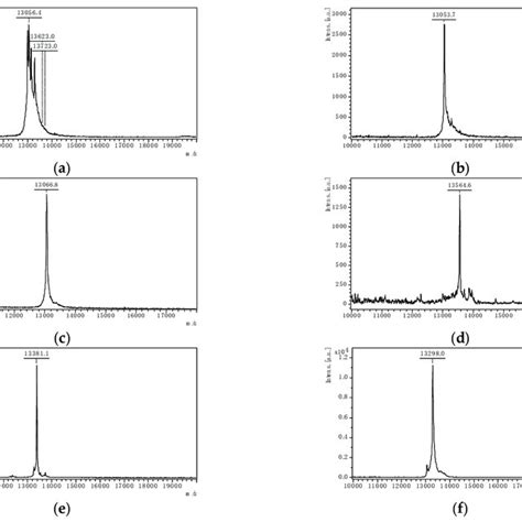 Maldi Tof Ms Spectra Of A Fraction F1 From The C18 B P16851 C Download Scientific