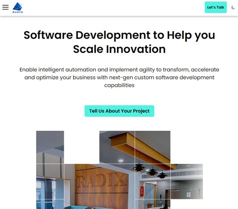radixweb customerthink