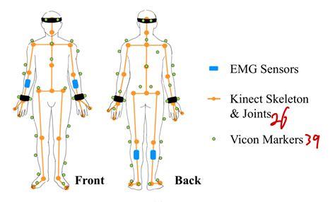 Ev Action Electromyography Vision Multi Modal Action Dataset