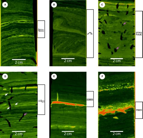 Characteristic Examples Of The Six Soft Sediment Deformation Structure Download Scientific