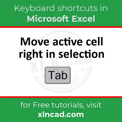 Excel Shortcut To Move Active Cell Right In Selection Excel Shortcuts Excel Shortcut