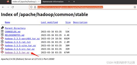 在ubuntu20 04里安装hadoop详细步骤（图文），亲测成功！ ubuntu20 04安装hadoop csdn博客