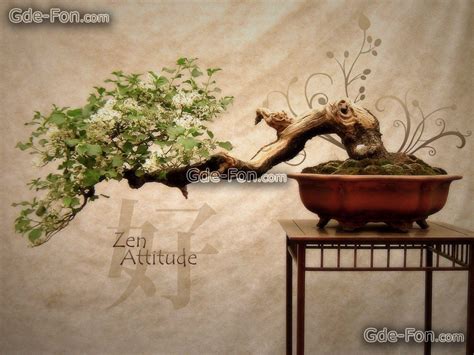 Flower Bonsai Wallpaper