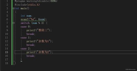 C语言的分支结构与循环语句 C51 Case分支 Csdn博客