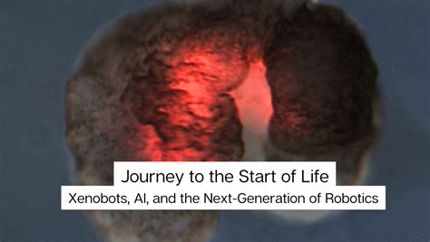 Journey To The Start Of Life Xenobots Ai And The Next Generation Of Robotics