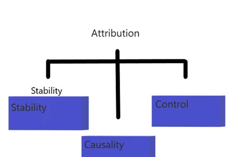 Attribution Theory In Sports Psychology HubPages