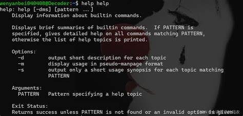 Linux 系统的基本使用 Csdn博客