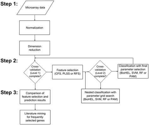 Flowchart Illustrating The Experimental Procedure The Protocol