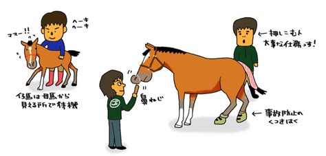 種付け Artificial insemination Artificial insemination in livestock and pets JapaneseClass jp