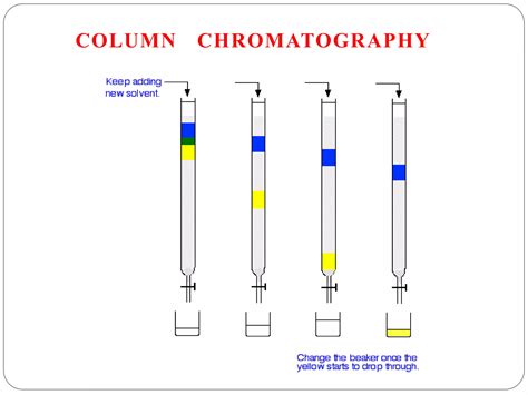 Column Chromatography Mahendra Pptx Chemistry Science