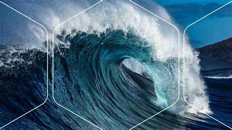 Symplr And Cactus Software Merge To Form Leader In Healthcare Provider Credentialing Software