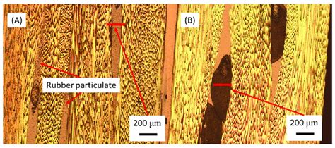 Microscopy Of The A Cfrp R And B Cf Samples To Determine Download Scientific Diagram