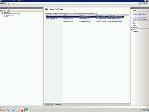 Creating A Domain Certificate From Certificate Authority Through Iis