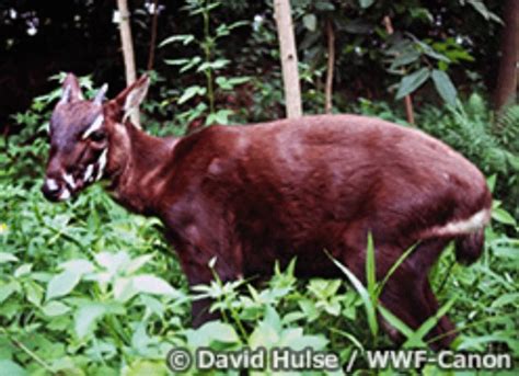 台風9号のたまご2023進路予想！米軍jtwc・ヨーロッパ・気象庁の最新情報は 放浪系シンママの自由気まま日記