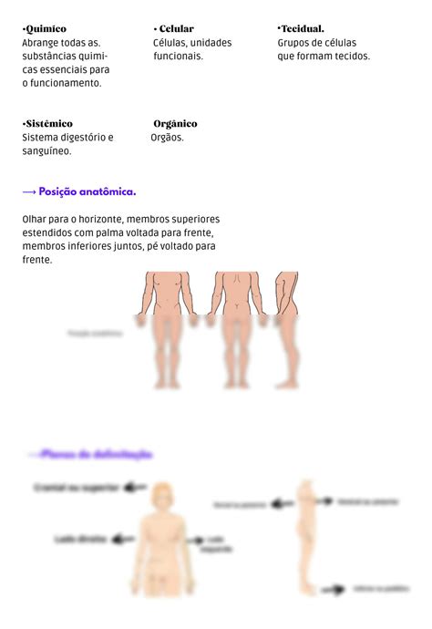 Solution Anatomia Introdut Ria Studypool
