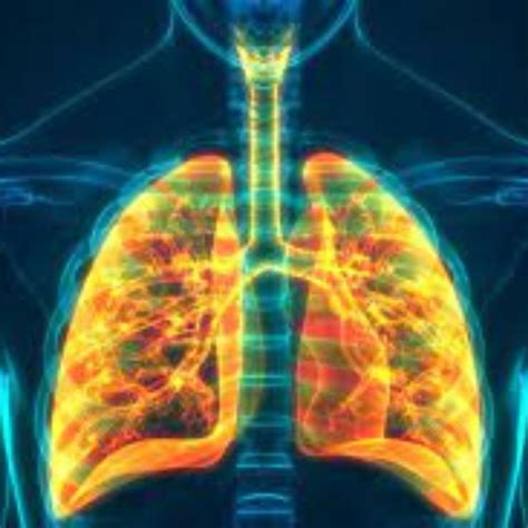 Stem Cell Therapy For Copd Stemedix Regenerative Medicine