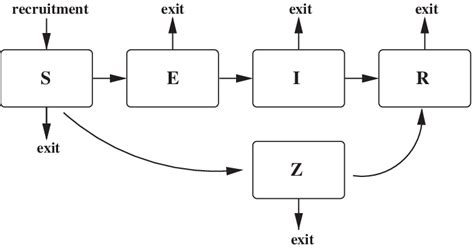 The Basic Scheme Of Population Dynamics Models For The Spread Of Ideas Download Scientific