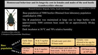 Same Sex Sexual SSS Behaviour In Insects PPT