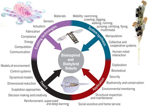 The Grand Challenges Of Science Robotics Science Robotics