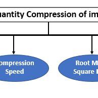 Fundamental Components Of Compression Download Scientific Diagram