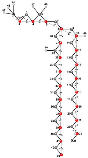 Molecular Model Of Dppc For Atomistic Monte Carlo Simulation A United