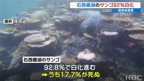 国内最大のサンゴ礁『石西礁湖』 90％以上が白化 17％超は死滅 その理由は… Youtube