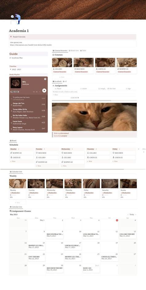 Do You Use Notion To Organise Your Academic Life Rstudying Do You Use Notion To Organise Your Academic Life Rstudying