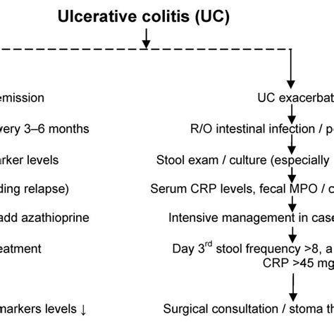 Algorithm For Clinical Use Of Biomarkers In Ulcerative Colitis Download Scientific Diagram