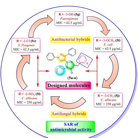 Effect Of Various Functional Groups On Antimicrobial Activity Due To Download Scientific