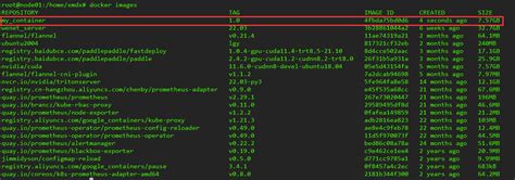 Docker 容器备份与迁移 下雨の波比