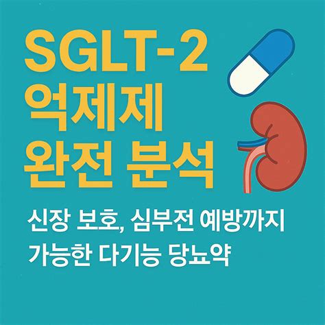 💊 Sglt 2 억제제 완전 분석 신장 보호 심부전 예방까지 가능한 다기능 당뇨약
